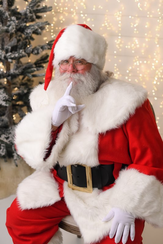 Santa Mike | Palm Tree Santas