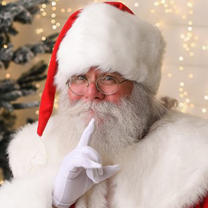 Santa Mike | Palm Tree Santas